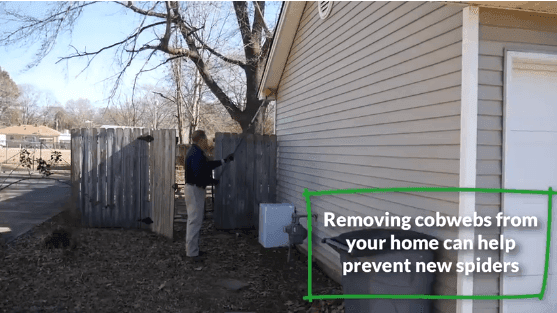Sweeping for Cobwebs | Arkansas Pest Control Services